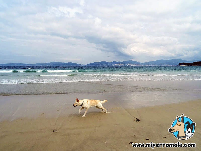 Las 12 mejores playas de Vigo